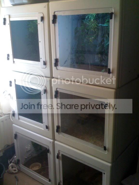 Bank of 6 Plastic Vivariums - Kent | Reptile Forums