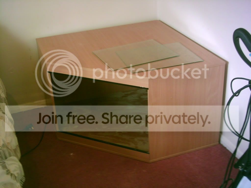 Large Corner Display Vivarium for sale | Reptile Forums