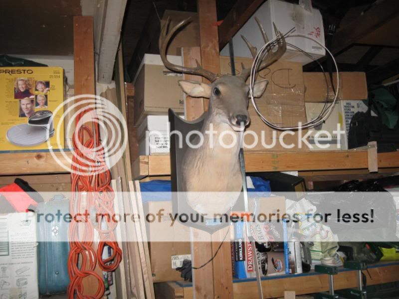 Triton Router & Router Raizer | Router Forums