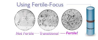 Tools of the Trade | Living A New Life ....